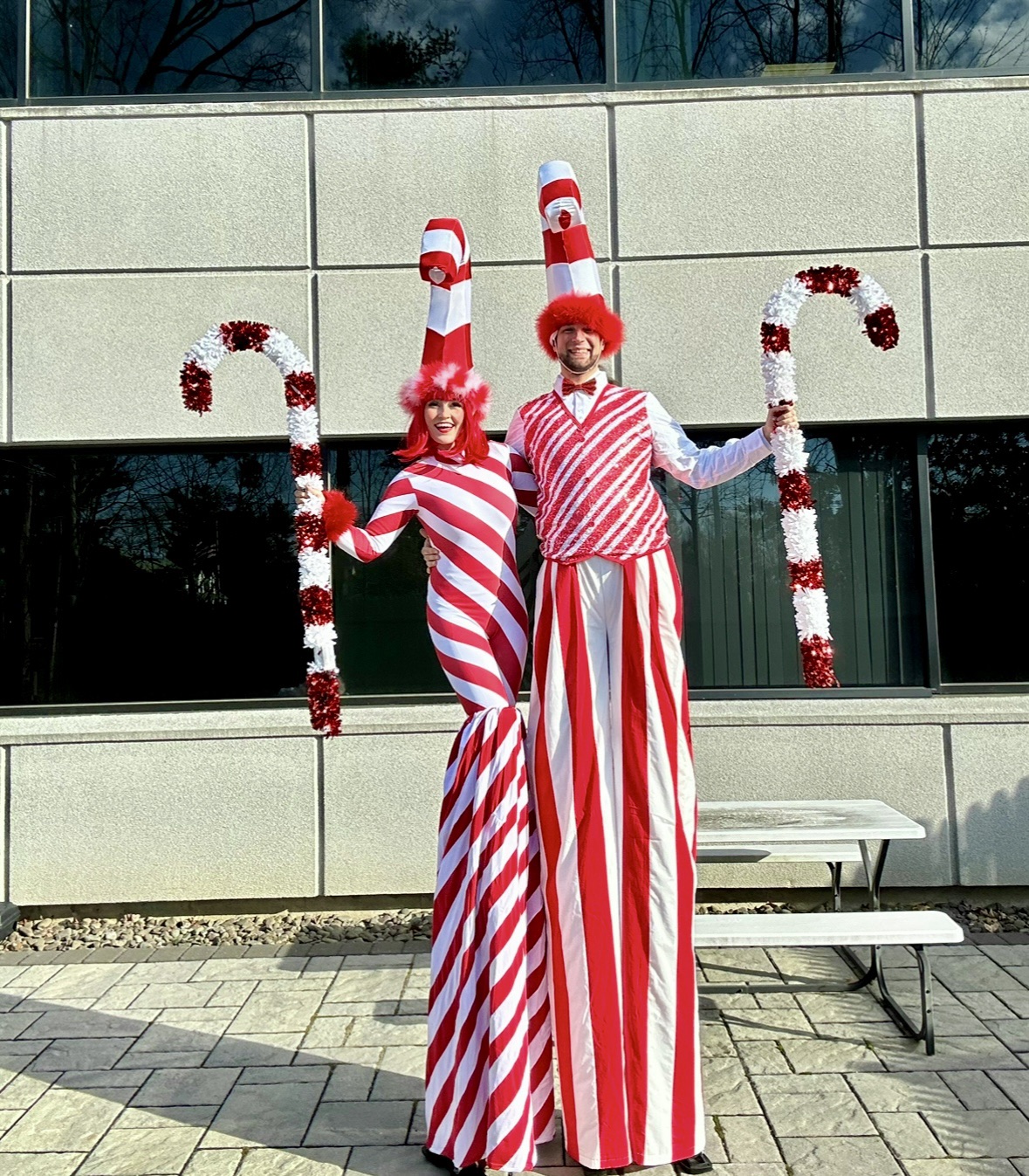 Holiday Entertainment - Extraordinary Arts LLC