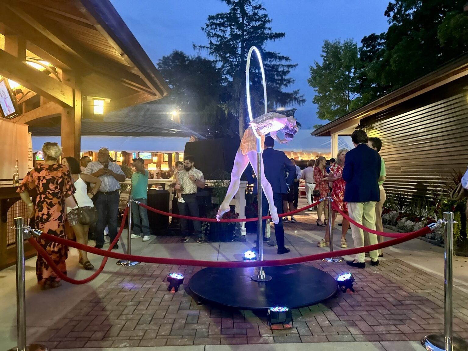 Aerialists & Aerial Dancers for hire for Special Events | Boston MA